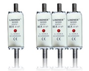 [E129] LINDNER FUSE-LINK 2460 630 ราคา 336 บาท