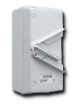 [R61] WATERPROOF ISOIATOR SWITCHES (IP66) WHT63 GY ราคา 650 บาท