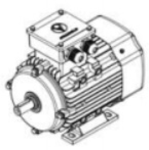 GE2 MOTOR ALUMINIUM 11KW 15HP FRAME 160M 2P. 3000RPM. FOOT B3 IE2 ราคา 16,292.50 บาท