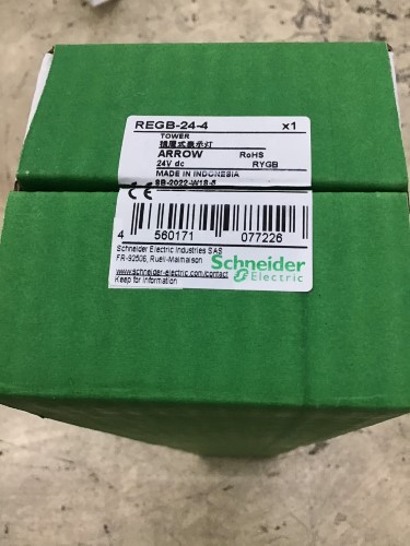 SCHNEIDER REGB-24-4 RYGB ราคา 4,700 บาท