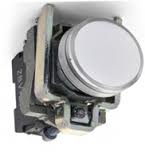 SALZER XB4-BVB1ราคา50บาท