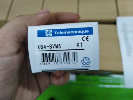 TELEMECANIQUE XB4-BVM5 ราคา 516 บาท