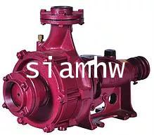 MITSU PUMP ปั๊มแรงสูง 2 ใบพัด ขนาด 3นิ้ว PM3-02B-80x80 (R-TEC RTM 2-80)
