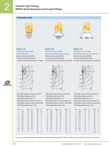 WAROM BDD91 Series Explosion-proof Light Fittings
