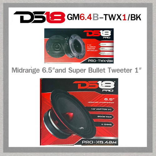 DS18 PRO GM6 4B TWX1 BK