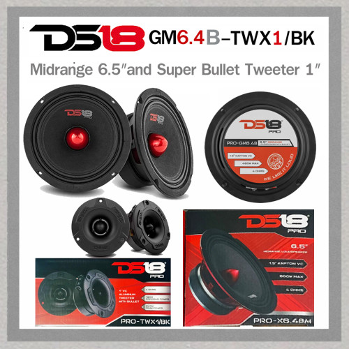 DS18 PRO GM6 4B TWX1 BK