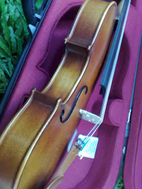 ไวโอลีน ยี่ห้อ SANDNER 4/4รุ่น 300 Germany คุณภาพดีมาก พร้อมเคสอย่างดี ...