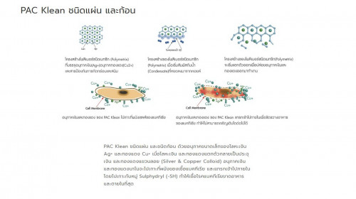 ก้อนละลายเมือก สำหรับเครื่องปรับอากาศ PAC KLEAN 30กรัม (ผลิตภัณฑ์ลดการอุดตันเครื่องปรับอากาศ ชนิดก้อ