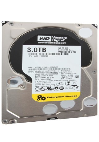 WD3001FYYG 9,500 บาท
