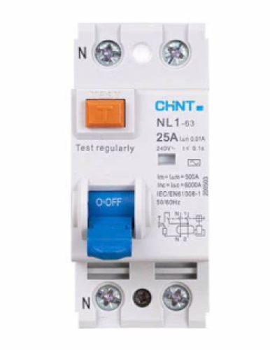 NL1-63 2P A-TYPE 63A 10KA