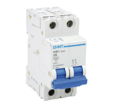 DZ158-125H 2P 80A 10KA