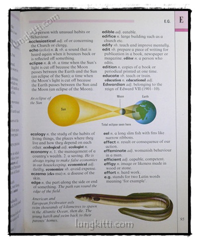 Illustrated Dictionary