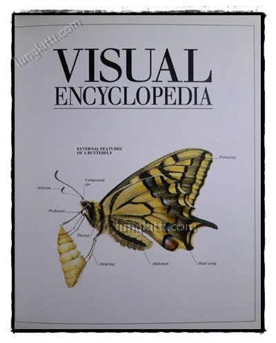 VISUAL ENCYCLOPEDIA