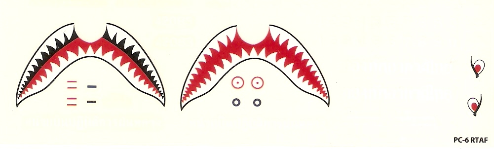 PC-6 Porter Royal Thai Police 1/48 Decal