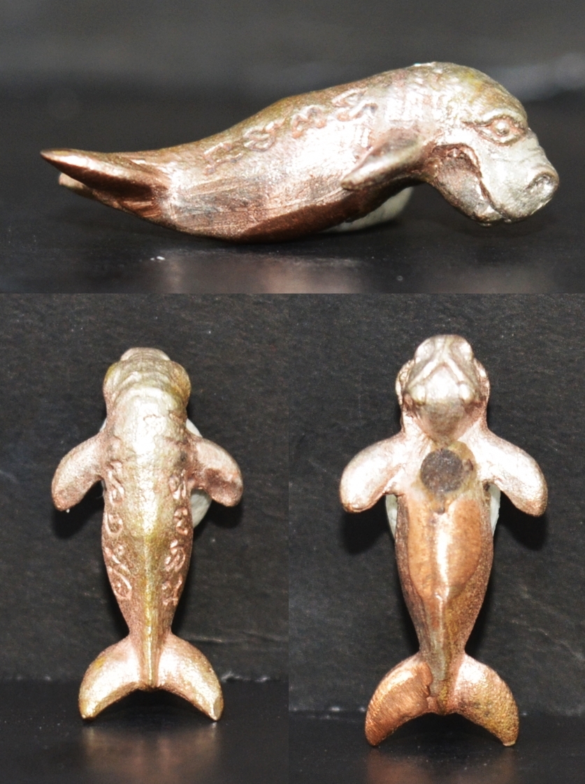 ดุหยง (ปลาพยูน) เนื้อนวะ อาจารย์เณรดอย เมืองตรัง 2562