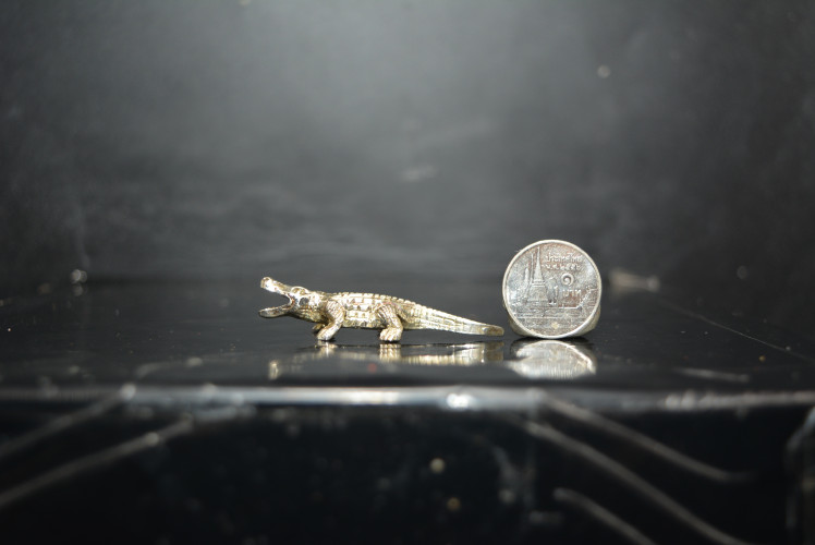 จระเข้อาคม ฉลองอายุ 109 พรรษา เนื้อชุบเงิน หลวงปู่สุภา วัดสีลสุภาราม 2549