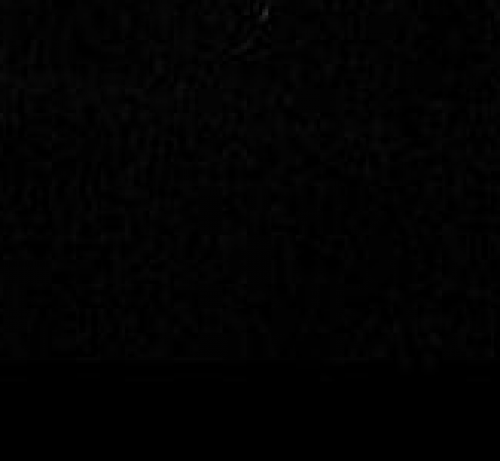 ภาพสีดำดำ