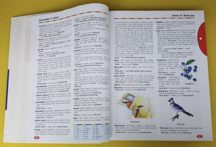 Children's Dictionary