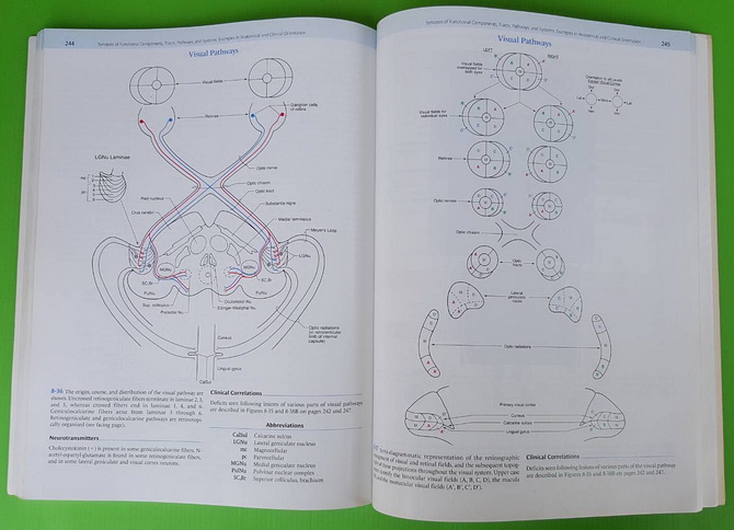 Neuroanatomy An Atlas of Structures, Sections, and Systems