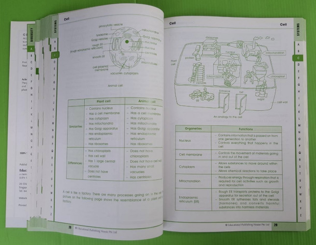 PRIMARY SCIENCE THEMATIC DICTIONARY