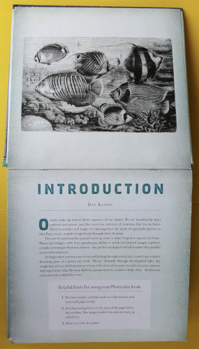 OCEAN A PHOTICULAR BOOK