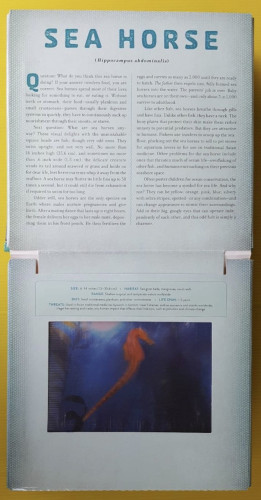 OCEAN A PHOTICULAR BOOK