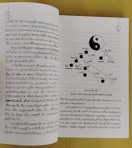 ฮวงจุ้ย ศาสตร์และศิลป์แห่งการตกแต่งบ้าน SARAH ROSSBACH เขียน อำนวยชัย ...