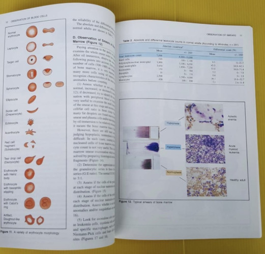 Atlas of Blood Cells by Shiro Miwa