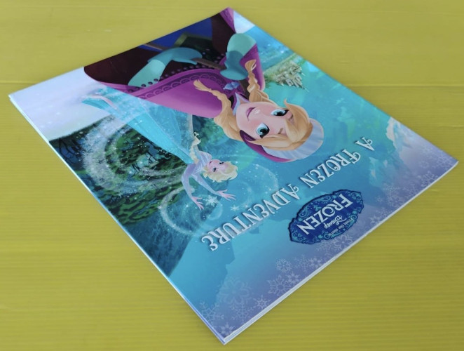 A FROZEN ADVENTURE