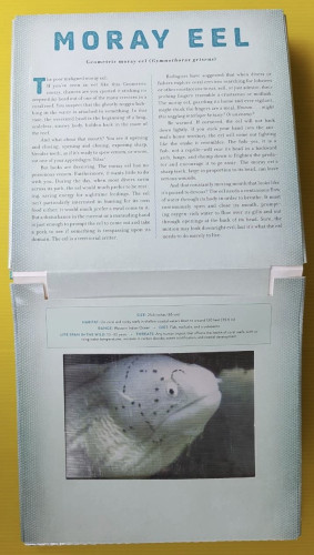 OCEAN A PHOTICULAR BOOK