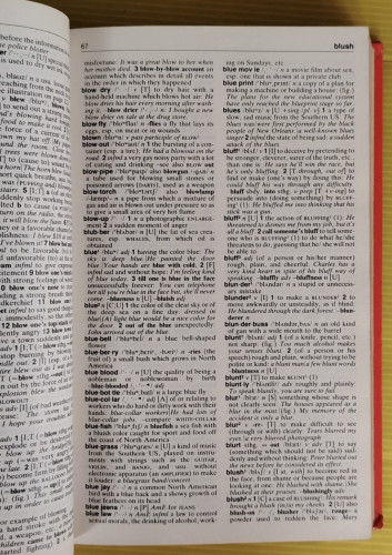 LONGMAN DICTIONARY OF AMERICAN ENGLISH