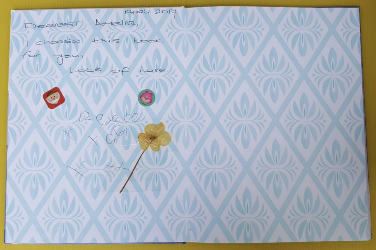 FROZEN Disney THE ESSENTIAL GUIDE