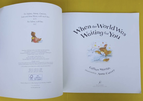 When the World Was Waiting for You by Gillian Shields