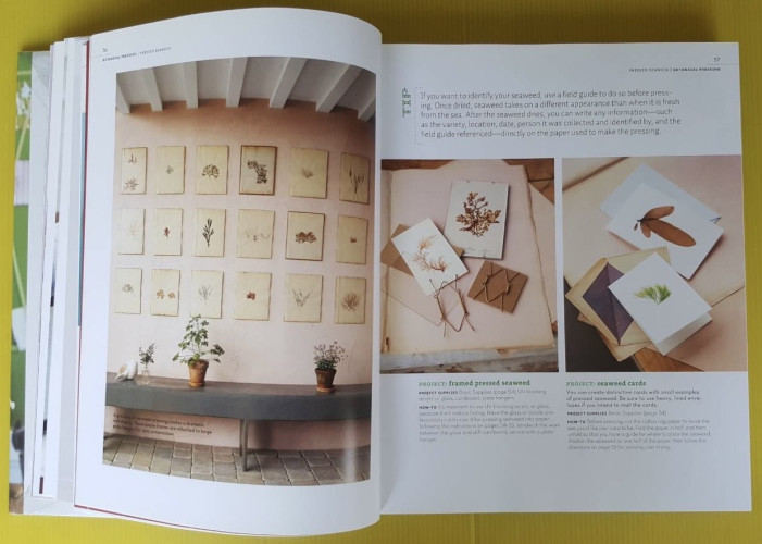 MARTHA STEWART'S Encyclopedia of Crafts