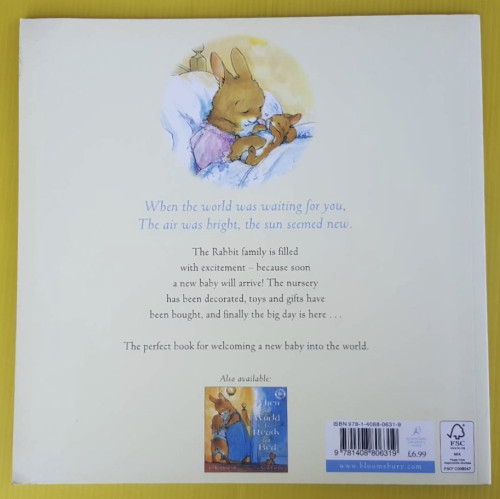 When the World Was Waiting for You by Gillian Shields