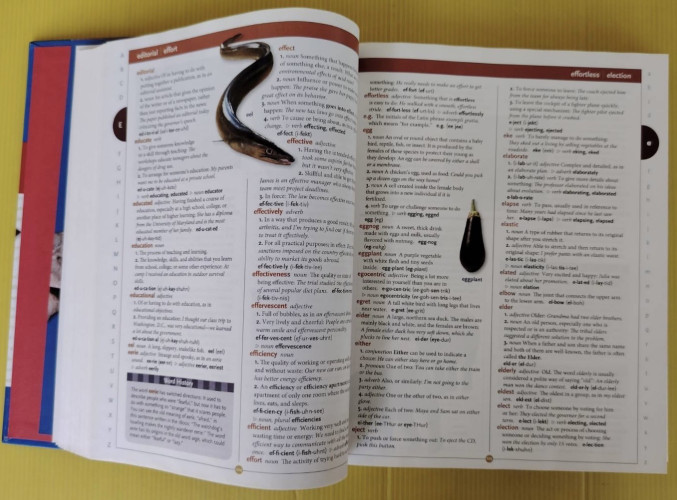 Children's Dictionary by SCHOLASTIC