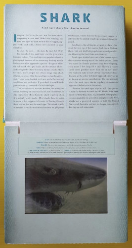 OCEAN A PHOTICULAR BOOK