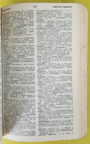 THE NEW COLLINS INTERNATIONAL DICTIONARY OF THE ENGLISH LANGUAGE