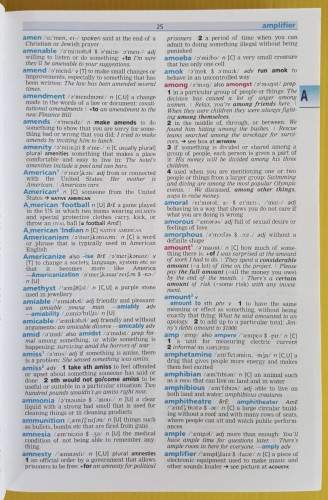 LONGMAN Active Study DICTIONARY