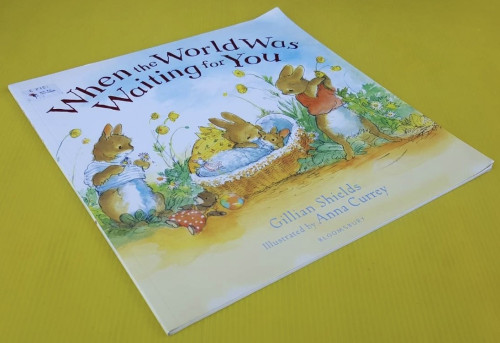 When the World Was Waiting for You by Gillian Shields
