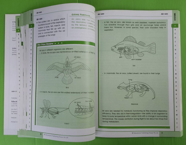 PRIMARY SCIENCE THEMATIC DICTIONARY