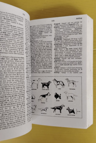 OXFORD LEARNER'S POCKET DICTIONARY with Illustrations