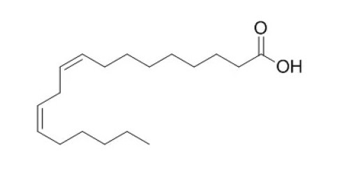 Linoleic acid, 20mg - Chemfaces