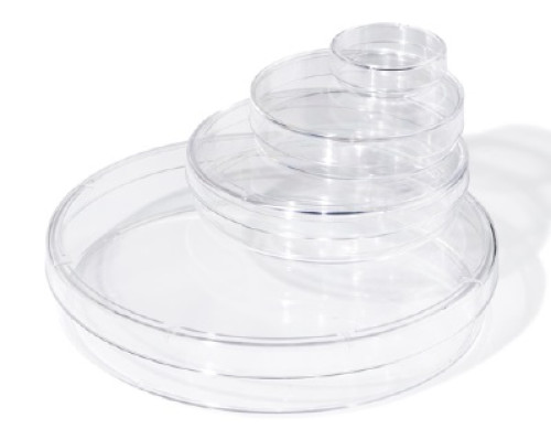 Cell Culture Dish, 35, 60, 100, 150mm