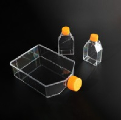 Cell Culture Flask, T25, T75 & T175