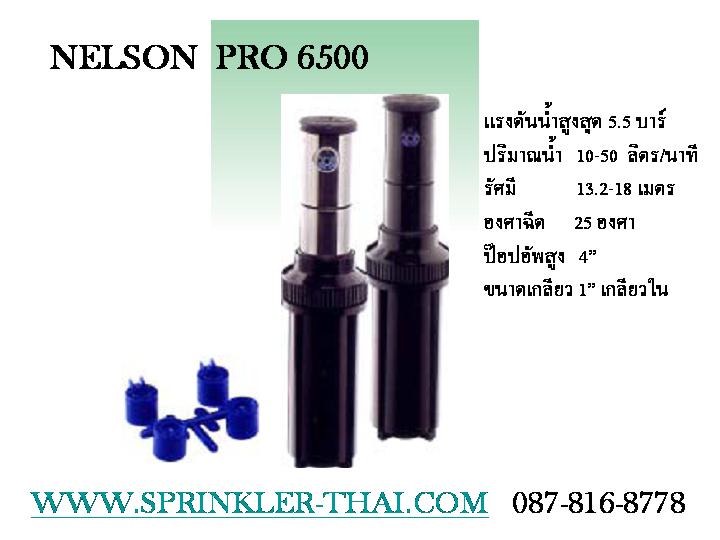 pop-up nelson pro 6000 รุ่นมาตราฐาน