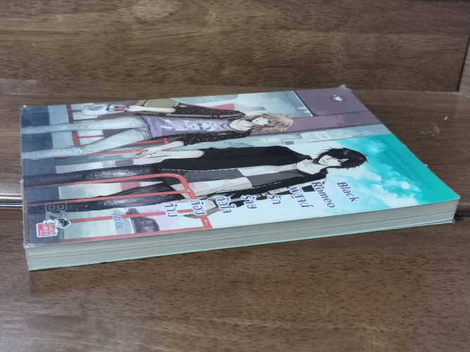 Black Romeo พิสูจน์รักร้ายหัวใจต้องห้าม / ลูกชุบ