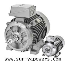 ABB Motor เอบีบี 270 แรงม้า 2 โพล แบบขาตั้ง รุ่น M2QA 315L2B