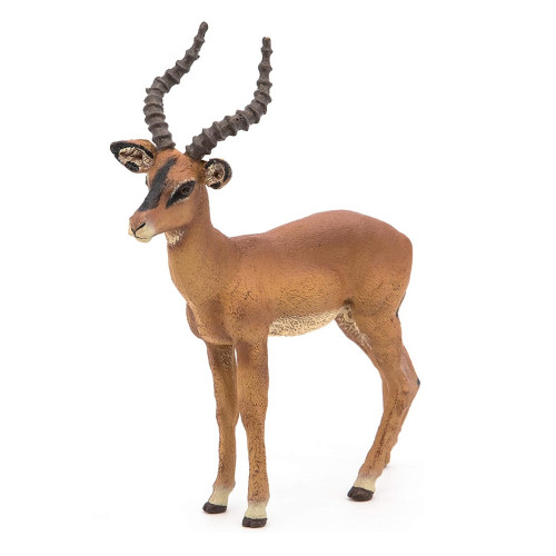 PAPO : PPO50186* โมเดล Impala