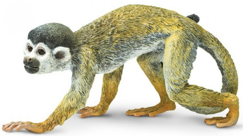Safari Ltd. : SFR269829* โมเดลสัตว์ Squirrel Monkey